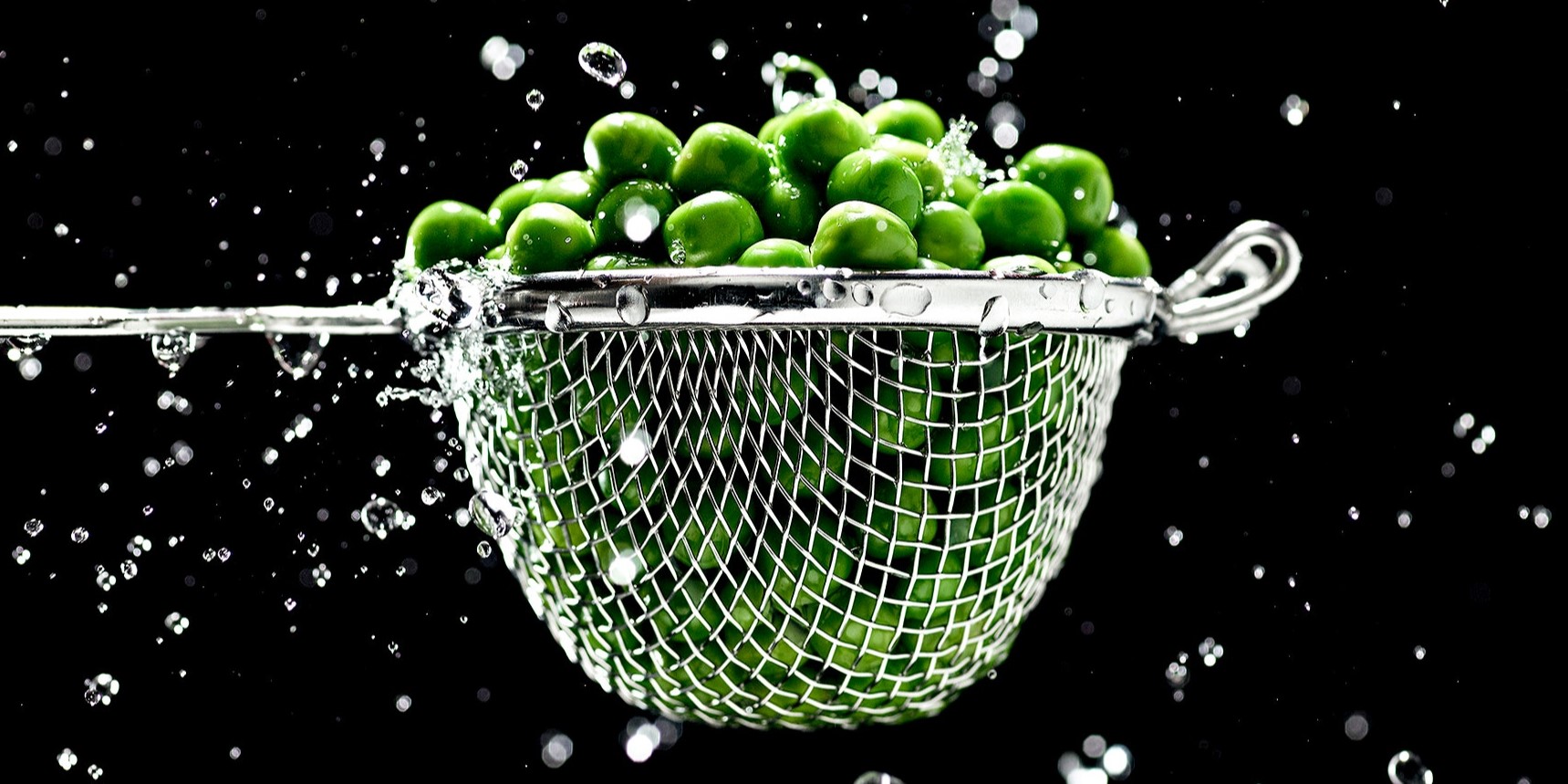 Pea Protein Revolution - what's the big deal about plant protein?